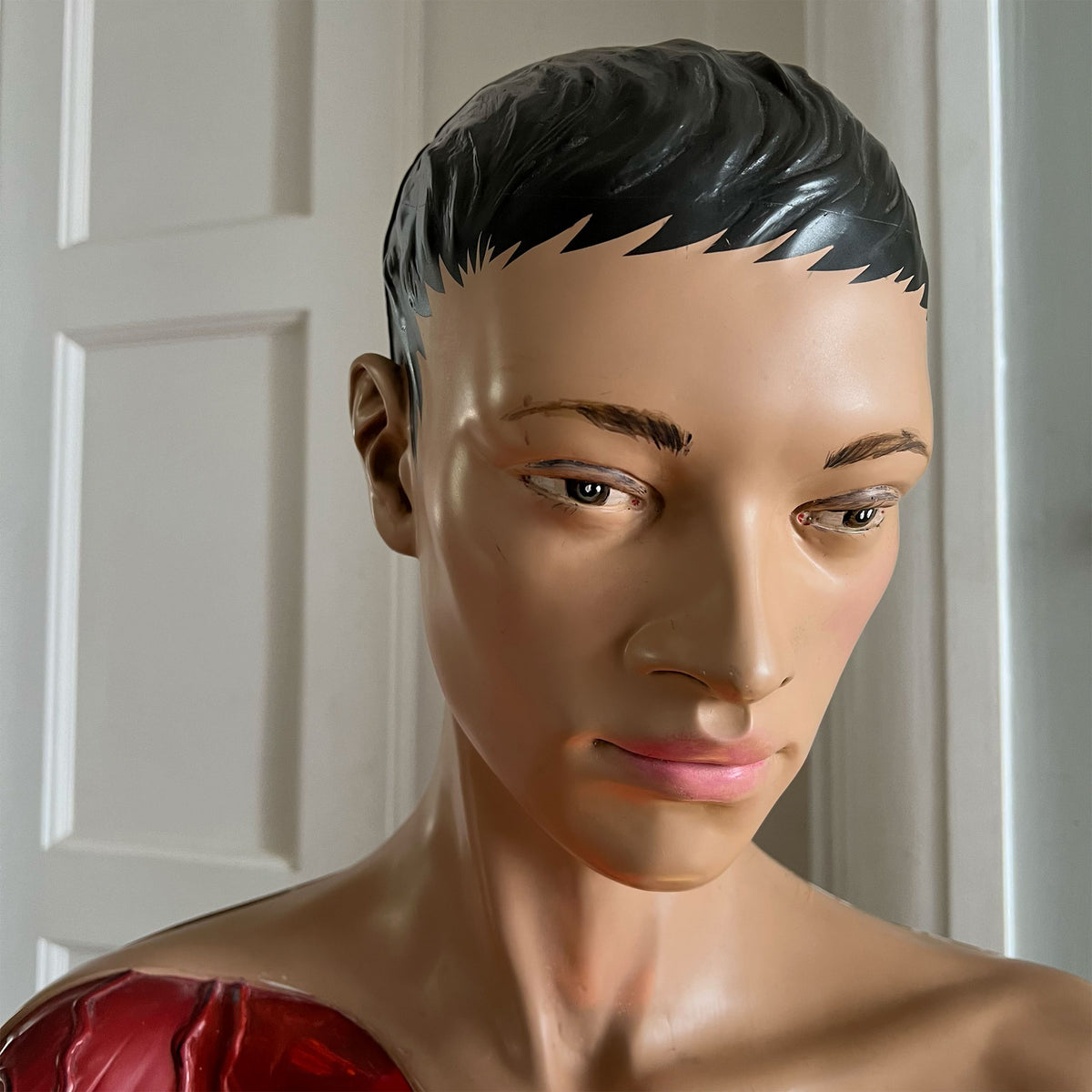 An Adam Rouilly Somso Anatomy Torso - IntoVintage.co.uk – Intovintage.co.uk